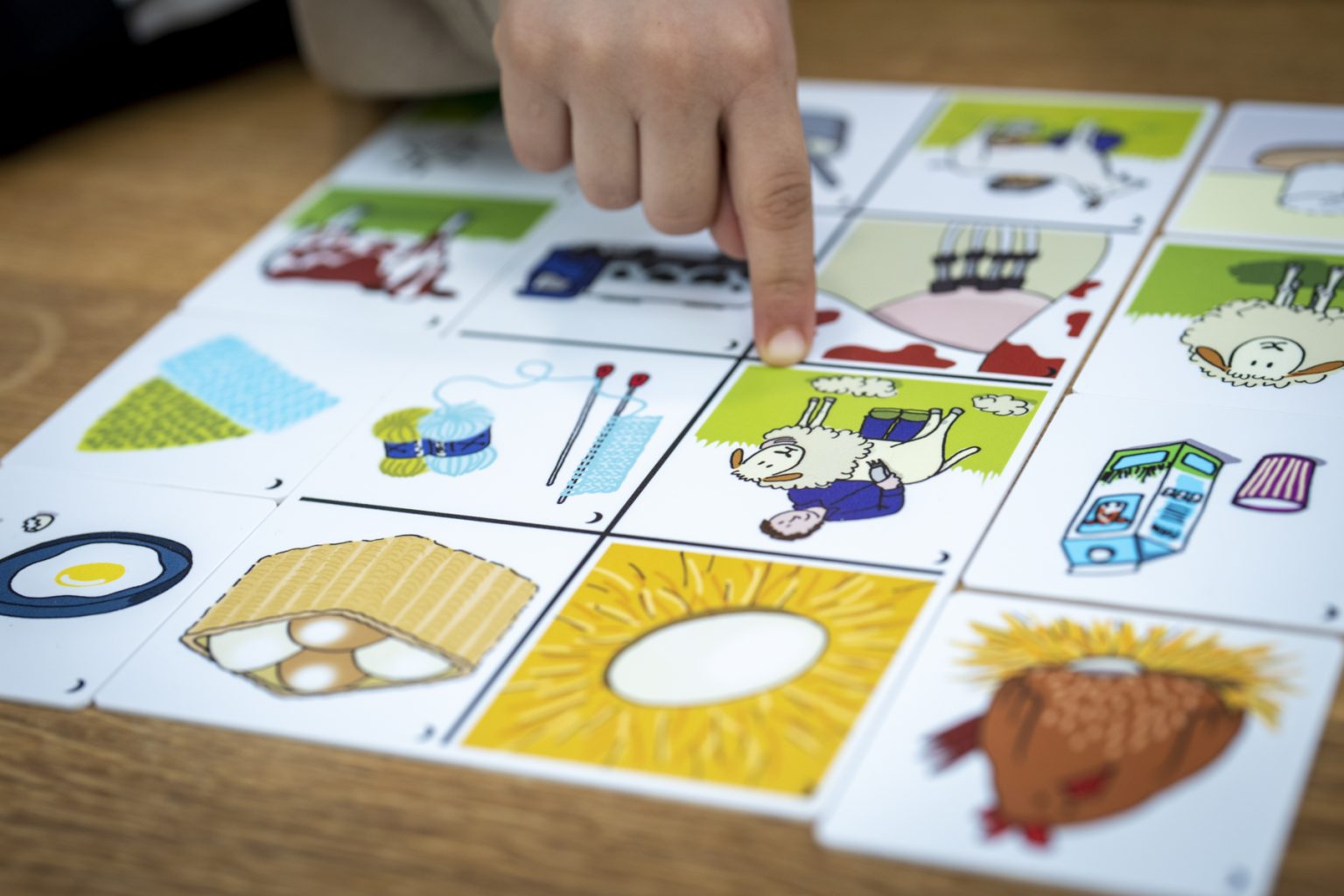 EDUCO Sekvenskort, orsak och verkan - Hands-On Science